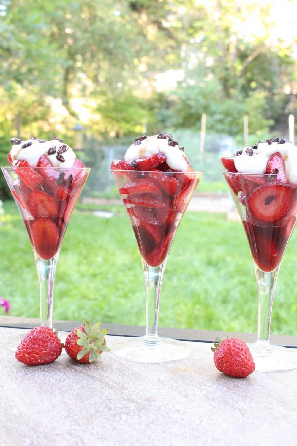 Chocolate Balsamic Strawberry Dessert | Catching Seeds - Darn Good Veggies
